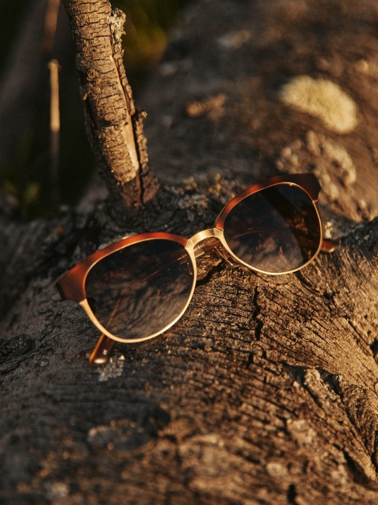 Winter eyewear: SALT. Optics - Eyestylist